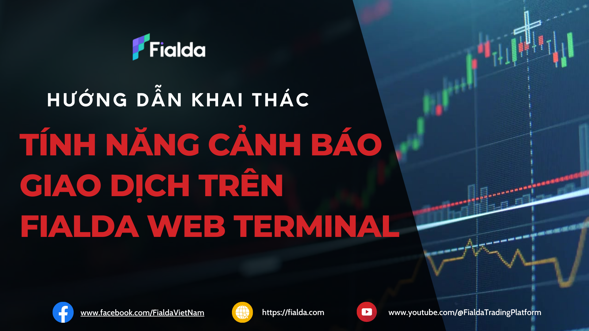 Hướng dẫn sử dụng Siêu Tính năng Cảnh báo Giao dịch trên Fialda Web ...