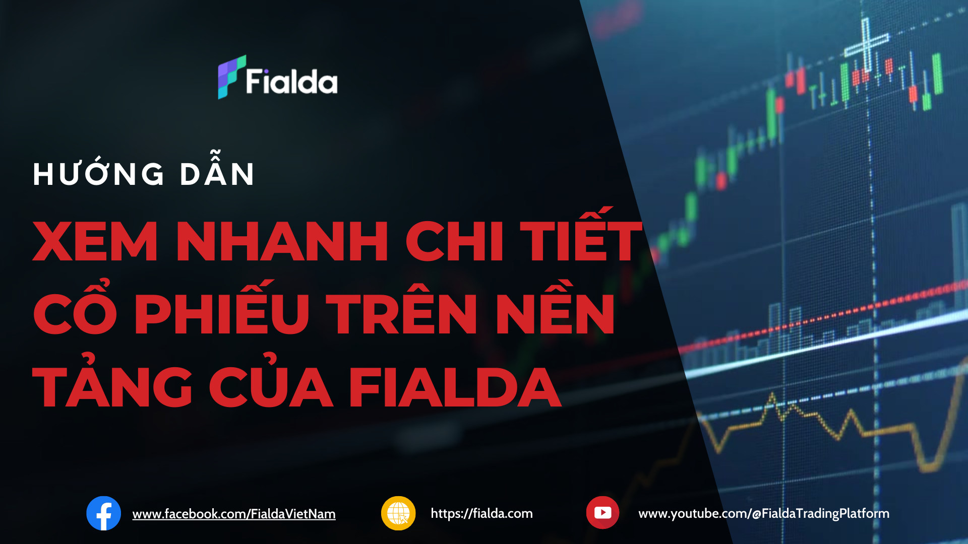 Hướng dẫn xem nhanh chi tiết cổ phiếu từ A - Z - Fialda Blog - Hướng dẫn sử dụng